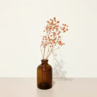 ブログやフリマ出品用の小物撮影にセリアの「PPシート」が便利 | koikenote